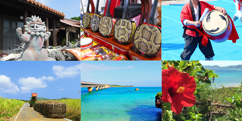 Okinawa｜Discovery！Life of Japan by area｜Life in Japan｜Study in Japan ...