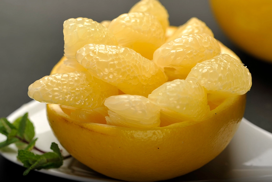 Kochi｜Study in Japan Official Website