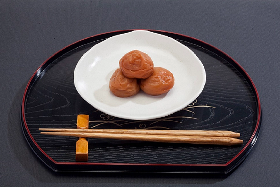 Wakayama｜Study in Japan Official Website