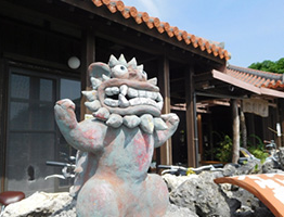 Okinawa｜Study in Japan Official Website