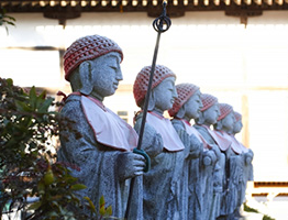 Saitama｜Study in Japan Official Website