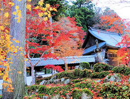 Shiga｜Study in Japan Official Website