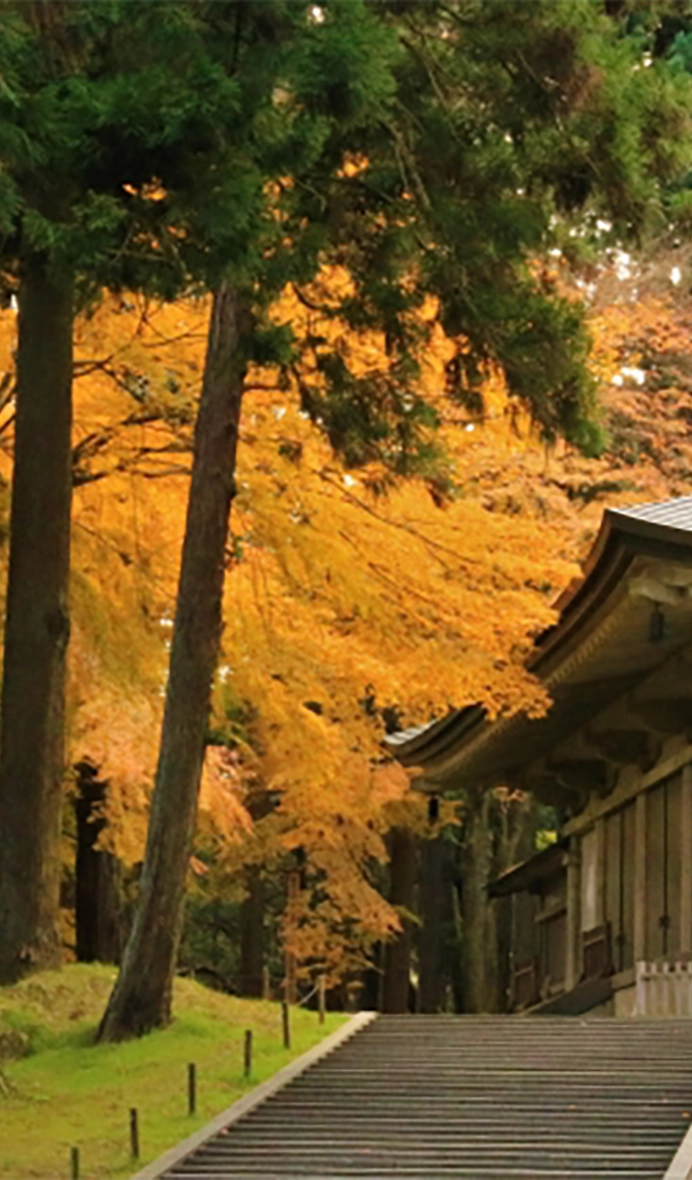 Iwate｜Study in Japan Official Website