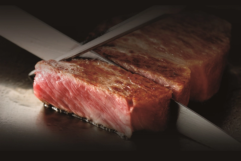 Hyogo｜Японд суралцах тухай албан ёсны вэб хуудас