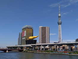 Tokyo｜日本留学官网