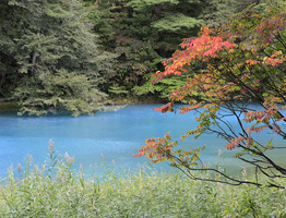 Fukushima｜日本留學官方網站