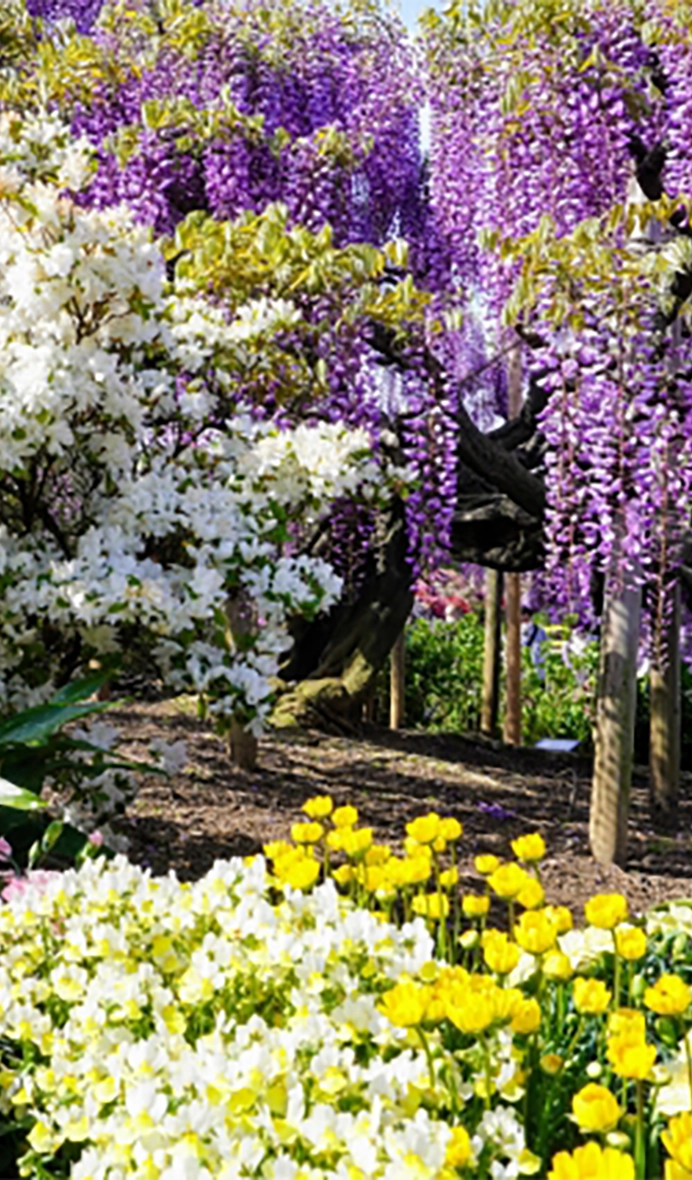 Tochigi｜日本留學官方網站